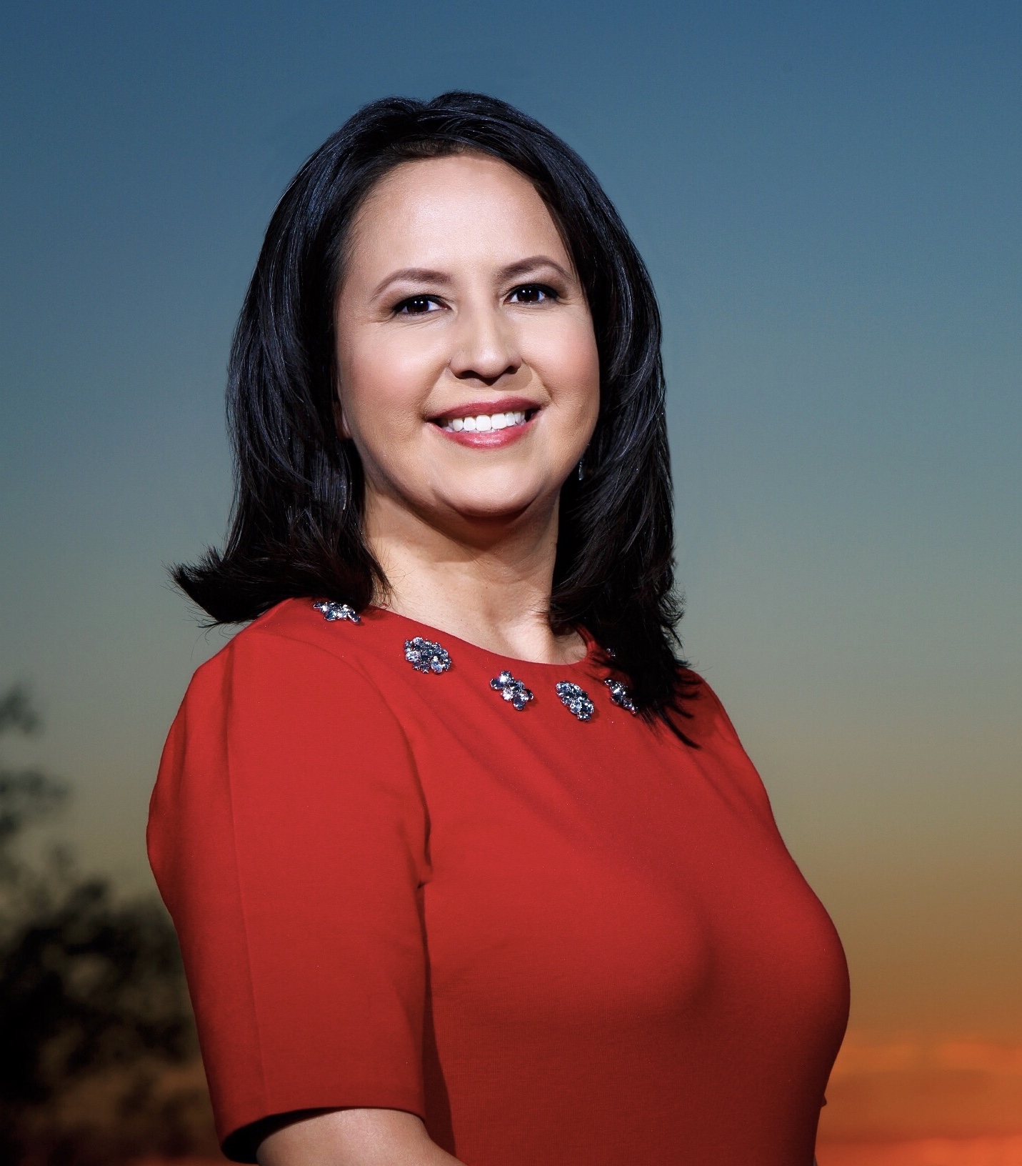 Native American Media Alliance – Wenona Benally Baldenegro